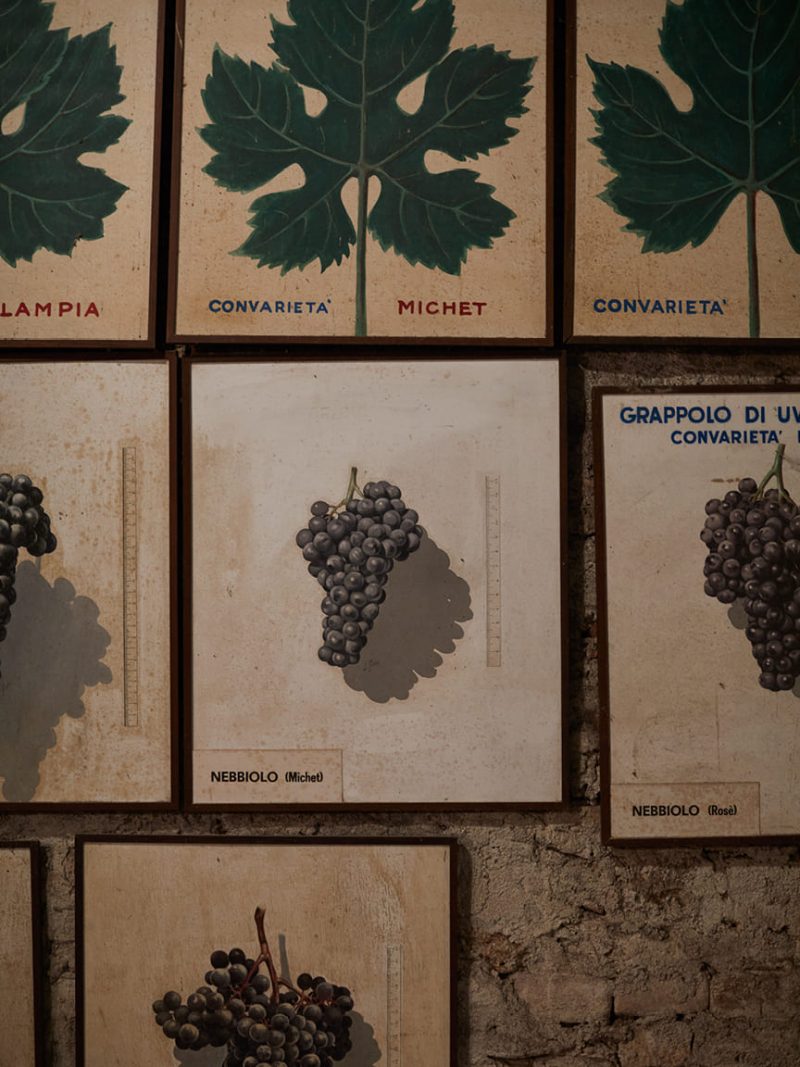 Ratti winery's CEO Pietro Ratti Interview