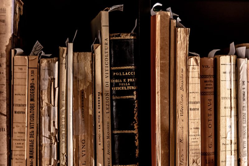 Ratti winery's CEO Pietro Ratti Interview