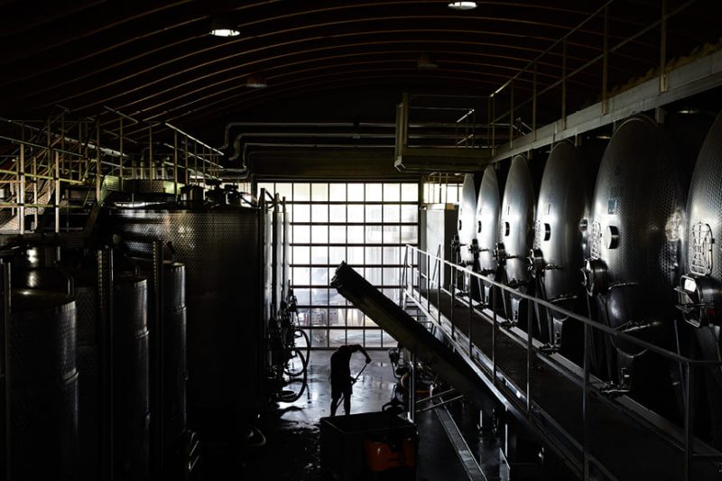 Ratti winery's CEO Pietro Ratti Interview