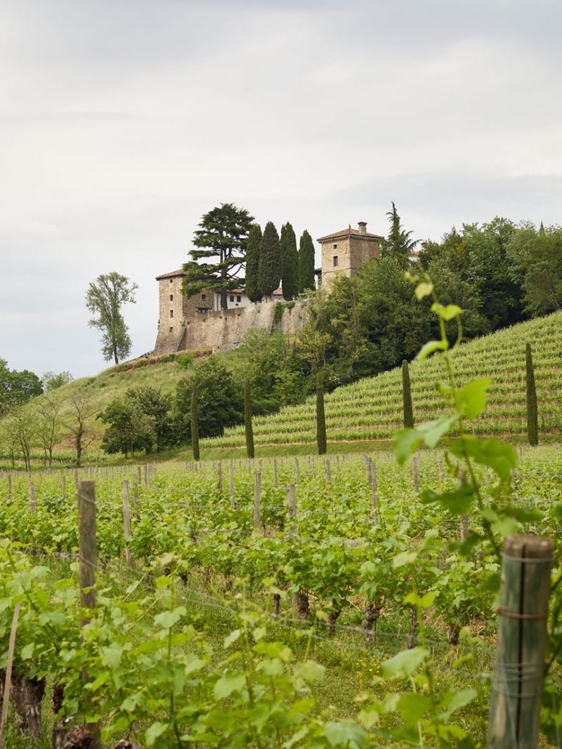 Silvio Jermann has been creating cultish wines at his Friuli winery