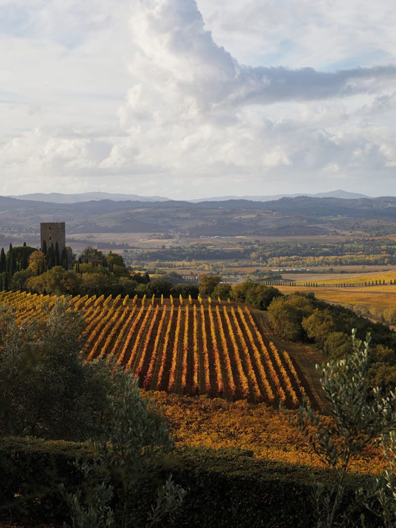 Super Tuscan, Italy’s most famous and prolific wine region